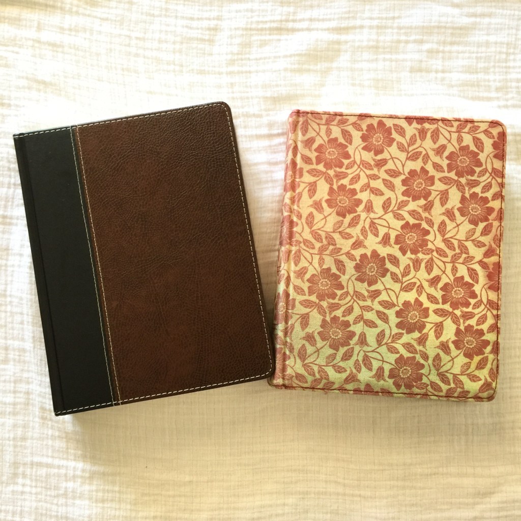 HCSB Notetaking Bible [Review] – Kountingsheep